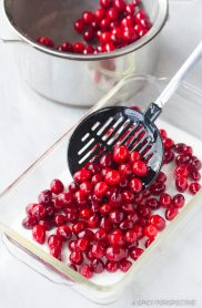 Candied Cranberries - A Spicy Perspective