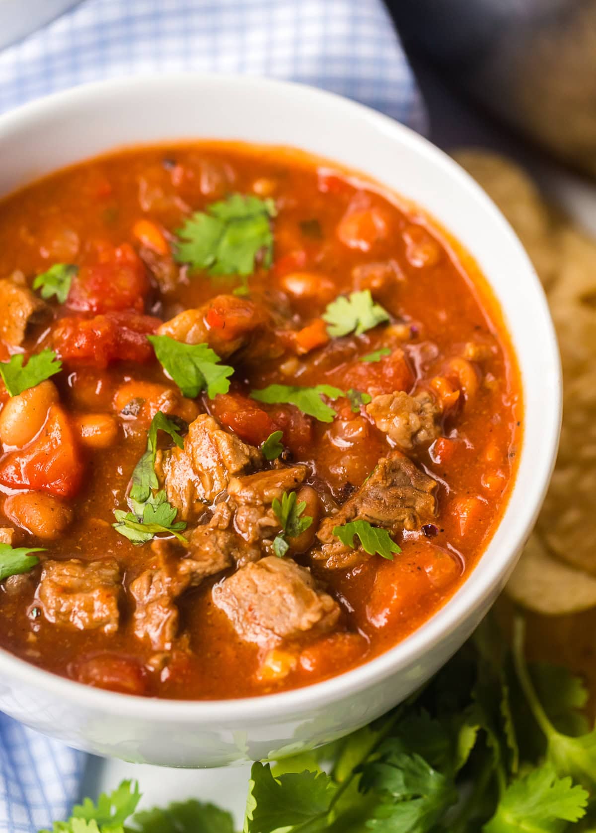 The BEST Chili Recipe A k a Beer Chili A Spicy Perspective The BEST Chili Recipe A k a Beer Chili A Spicy Perspective