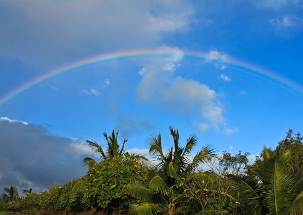 POG Punch Hawaiian Cocktail - A Spicy Perspective