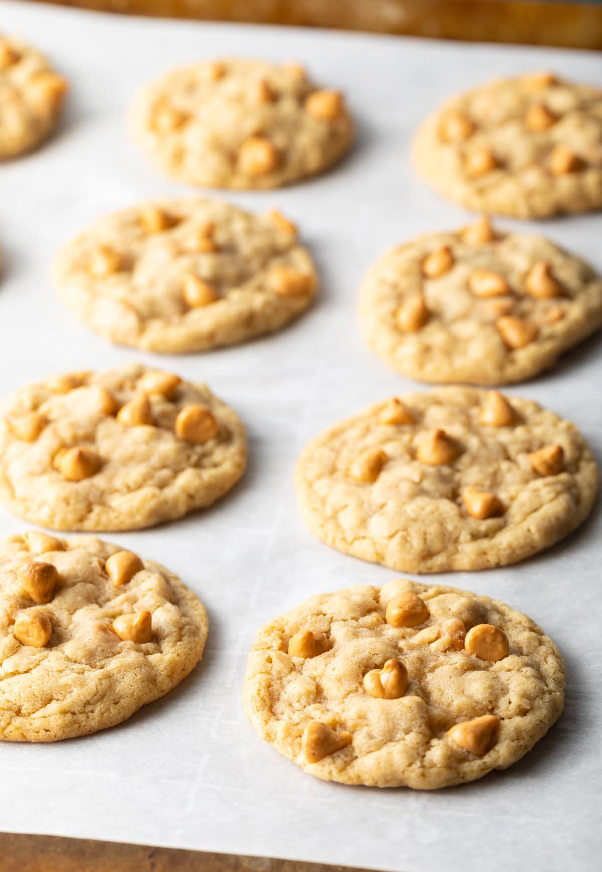 Oatmeal Butterscotch Cookies Recipe (VIDEO) - A Spicy Perspective