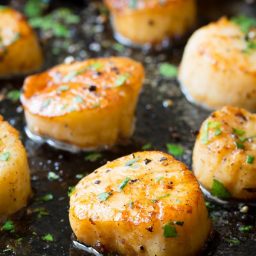 Pan Seared Scallops (Scallop Scampi) - A Spicy Perspective