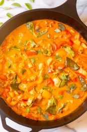 Best Thai Panang Chicken Curry (VIDEO) - A Spicy Perspective