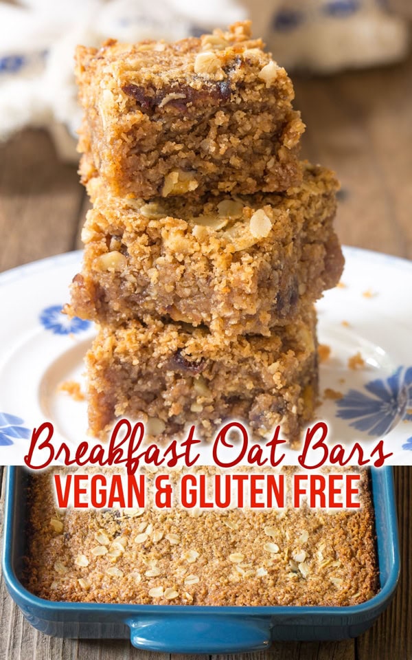 Oatmeal Bars (No Eggs) (Video) - A Spicy Perspective