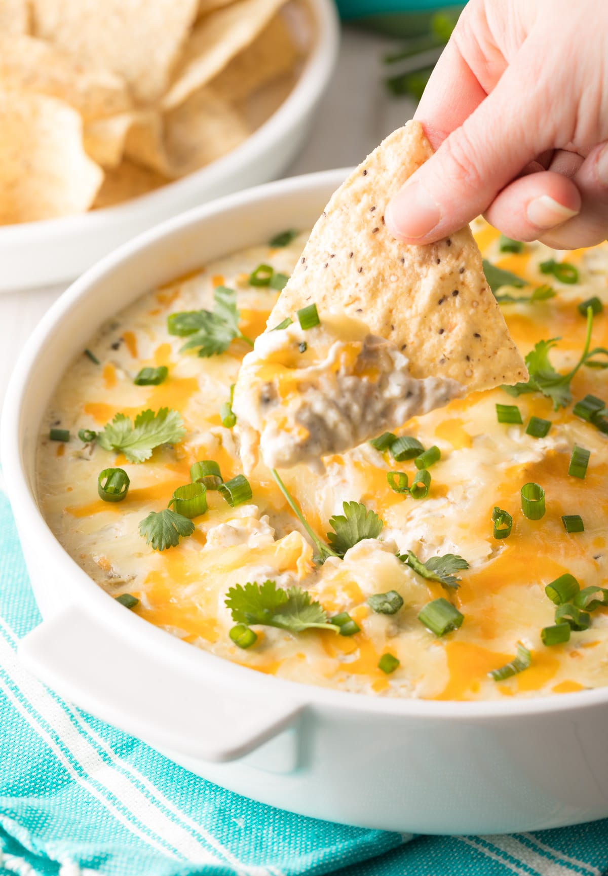 King Ranch Chicken Dip (Video) - A Spicy Perspective