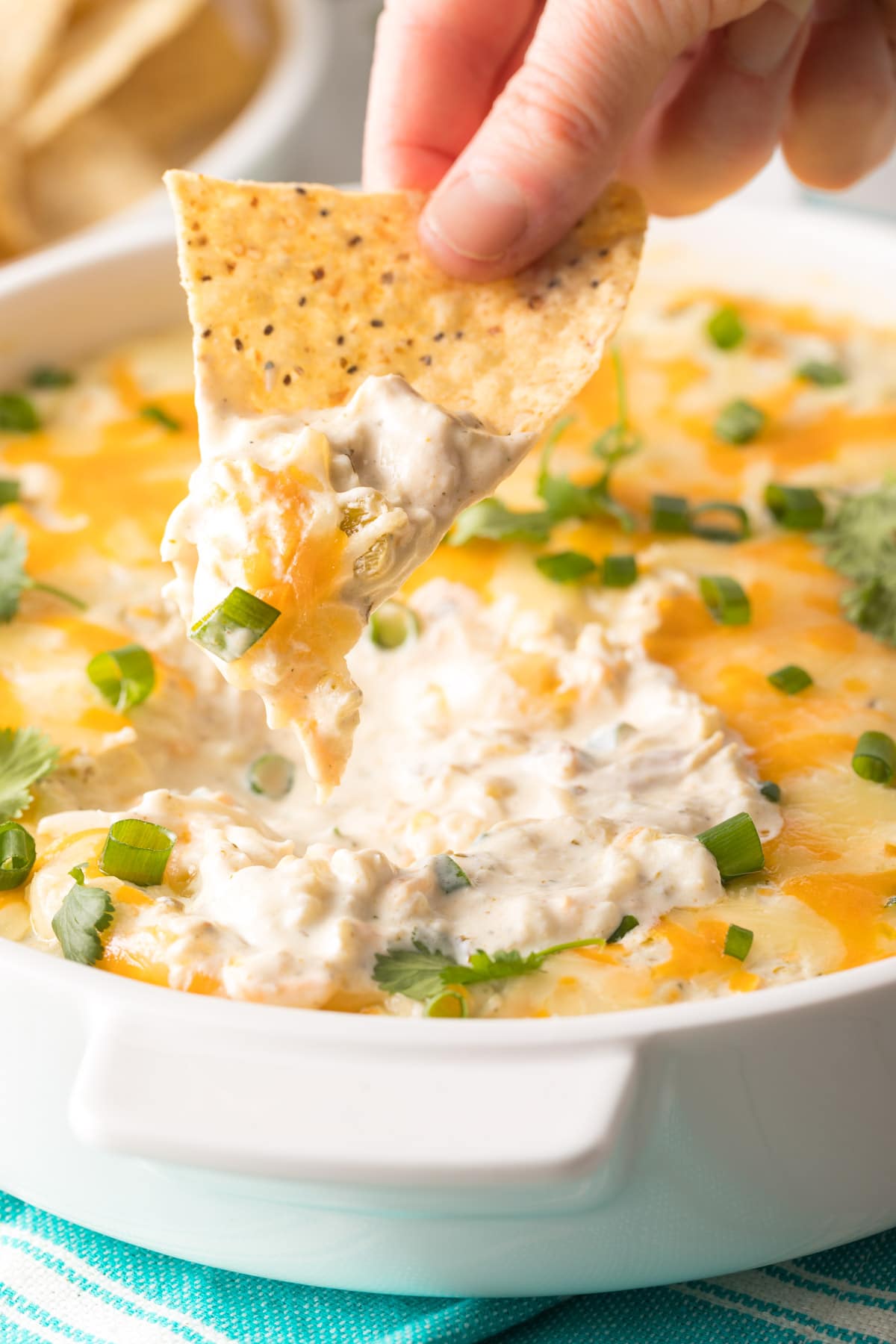 King Ranch Chicken Dip (Video) - A Spicy Perspective