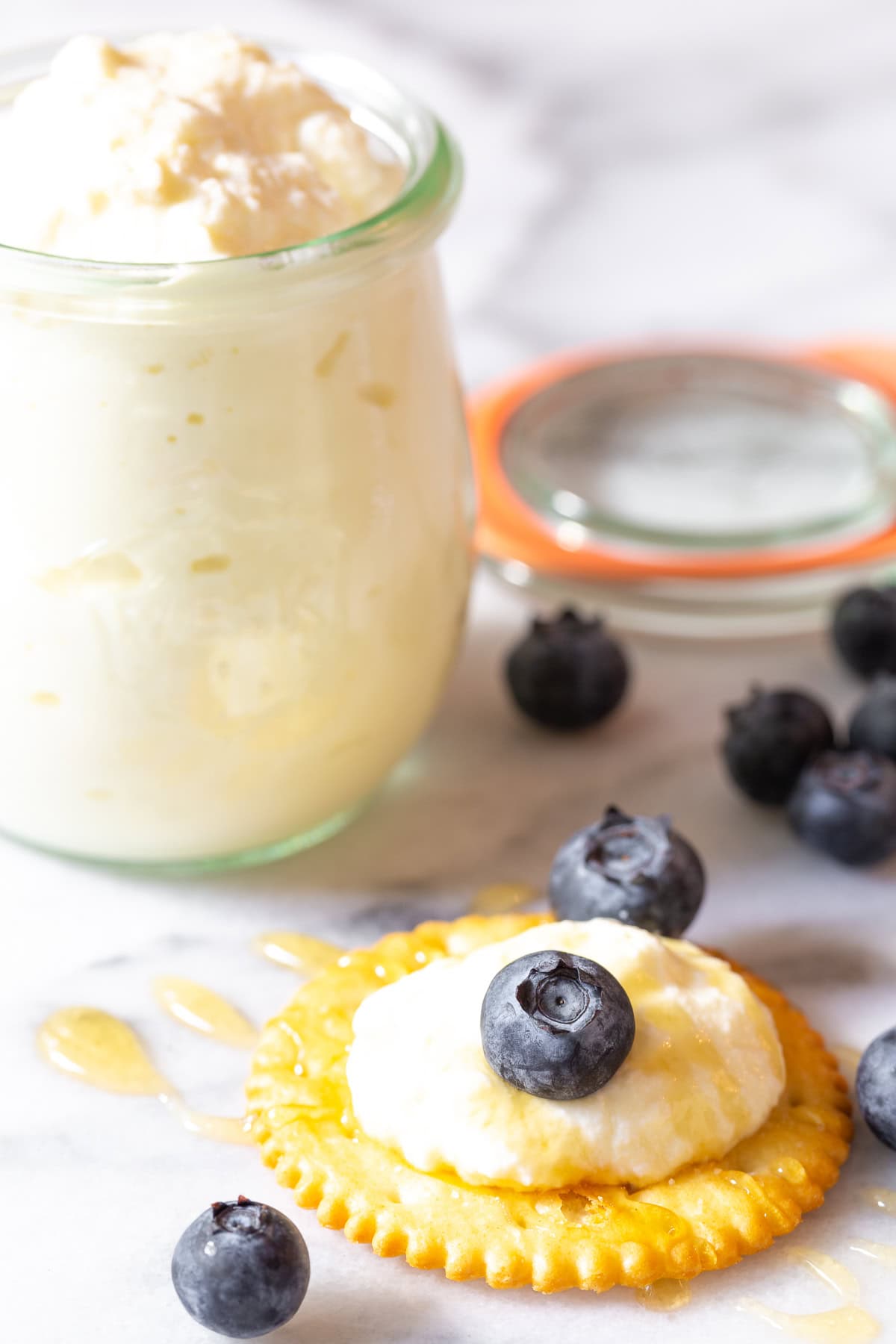 How To Make Ricotta Cheese (VIDEO) - A Spicy Perspective