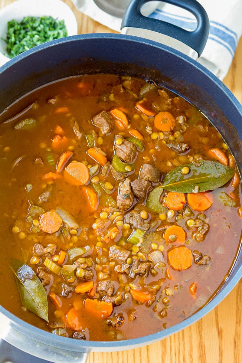 Beef Lentil Stew - A Spicy Perspective