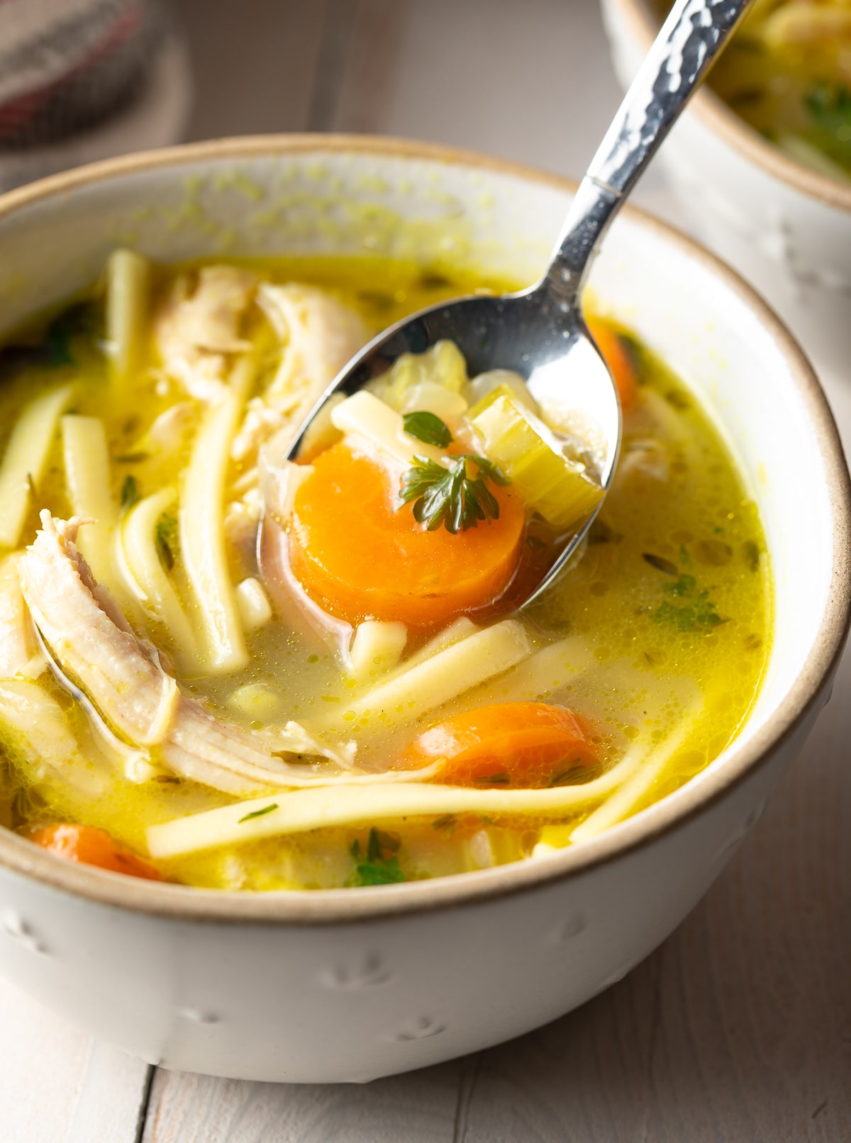 Best Chicken Noodle Soup Recipe VIDEO A Spicy Perspective