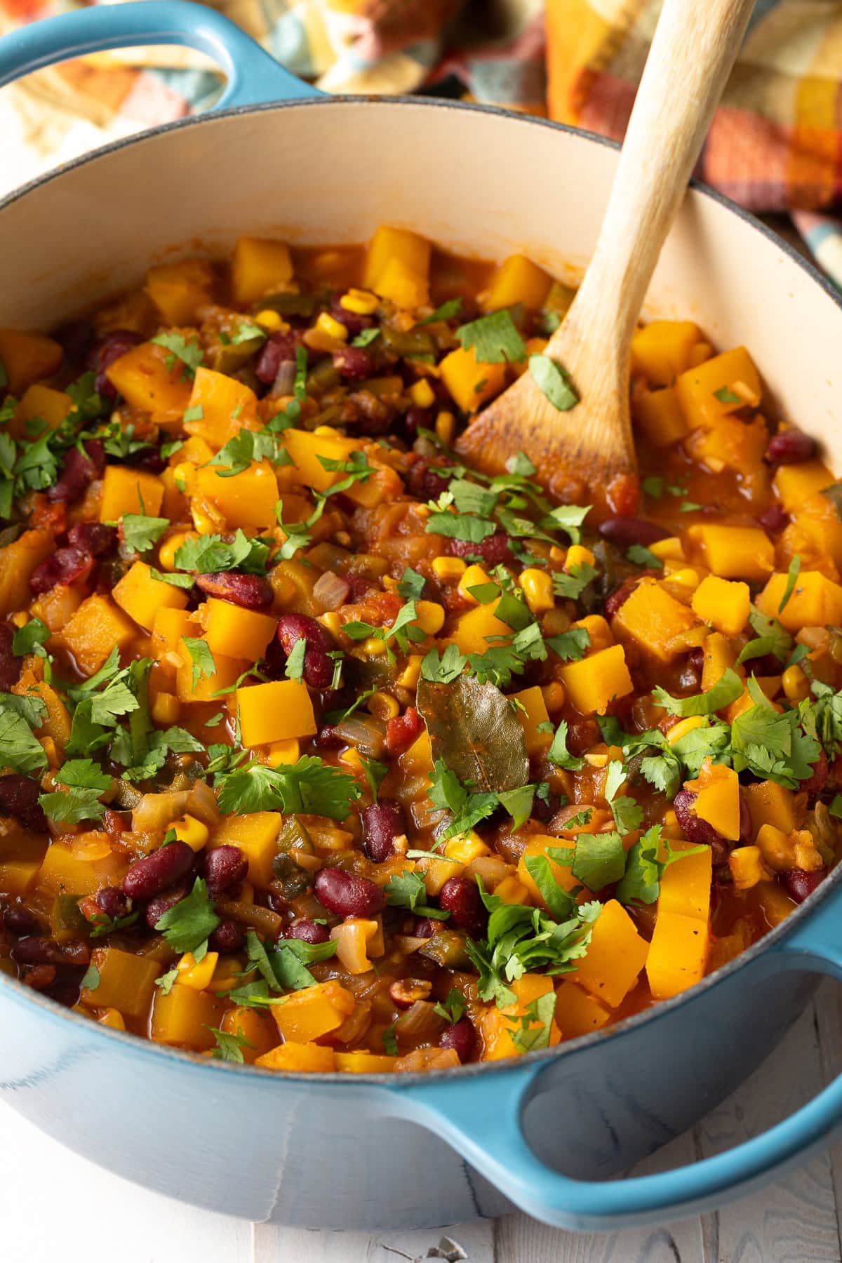 Butternut Squash Chili + VIDEO - A Spicy Perspective