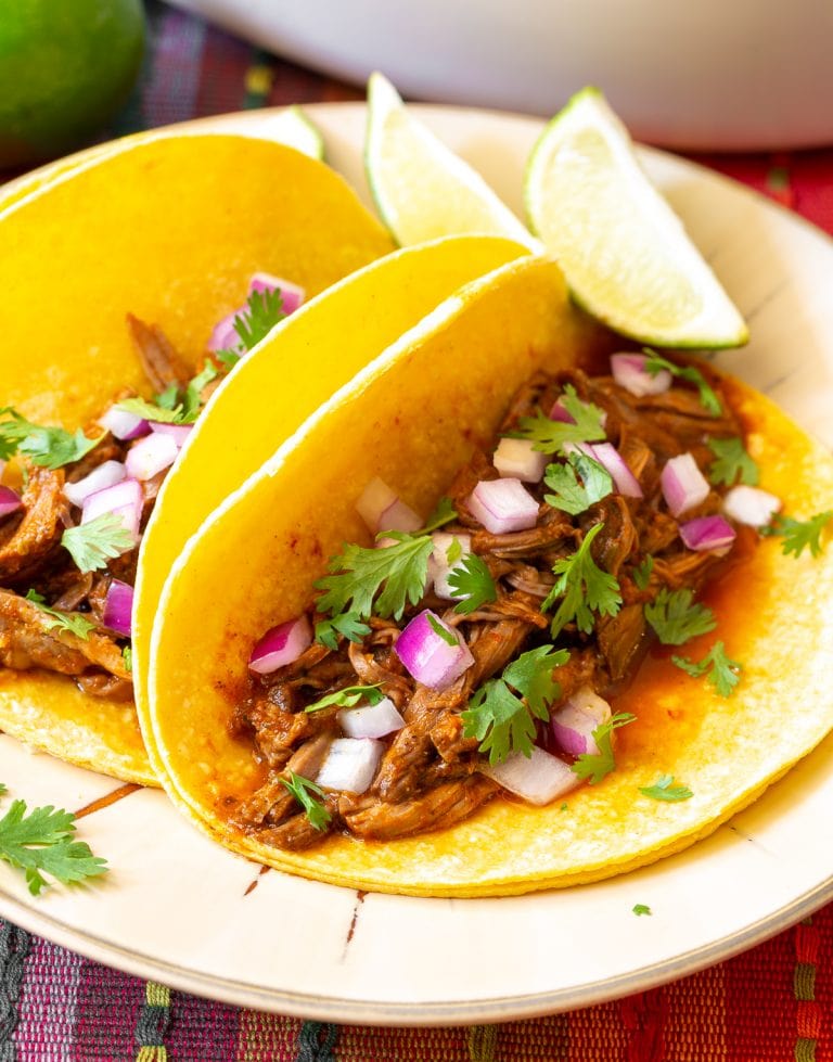 Spicy Crockpot Barbacoa Recipe (VIDEO) - A Spicy Perspective