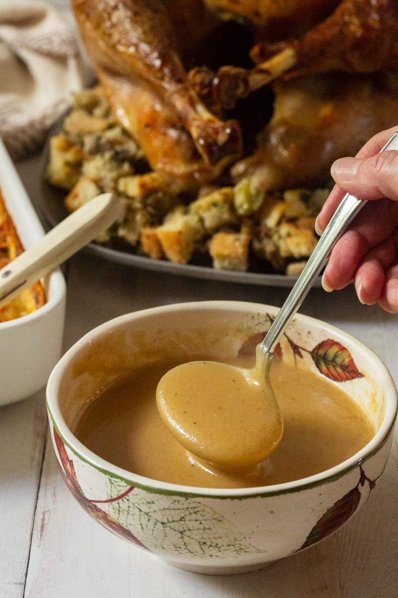 Best Turkey Gravy Recipe - A Spicy Perspective