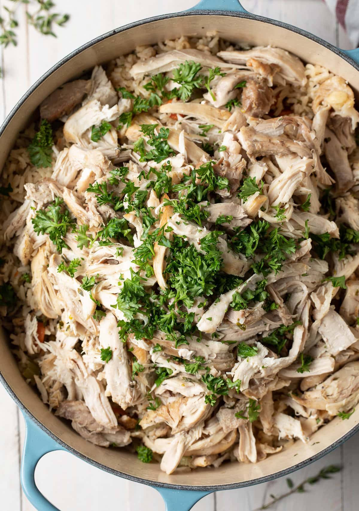 Nana's Epic Chicken and Rice Recipe (VIDEO) - A Spicy Perspective