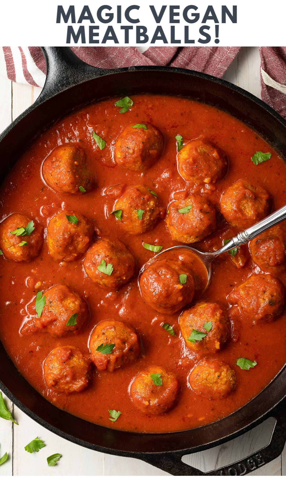 Plant-Based (Vegan) Meatballs Recipe + VIDEO - A Spicy Perspective