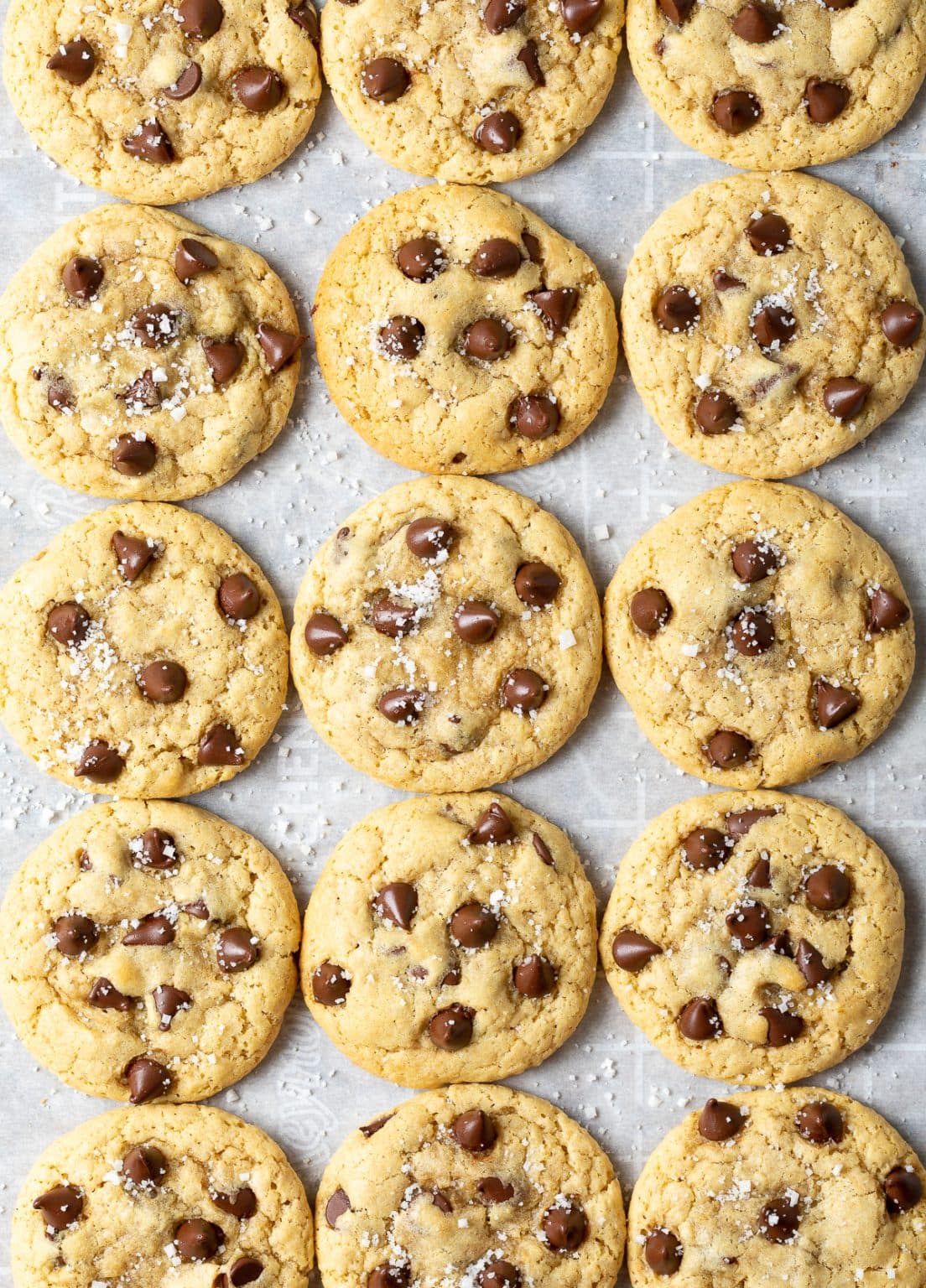 Salted Chocolate Chip Cookies (Easy No-Chill Recipe) - A Spicy Perspective
