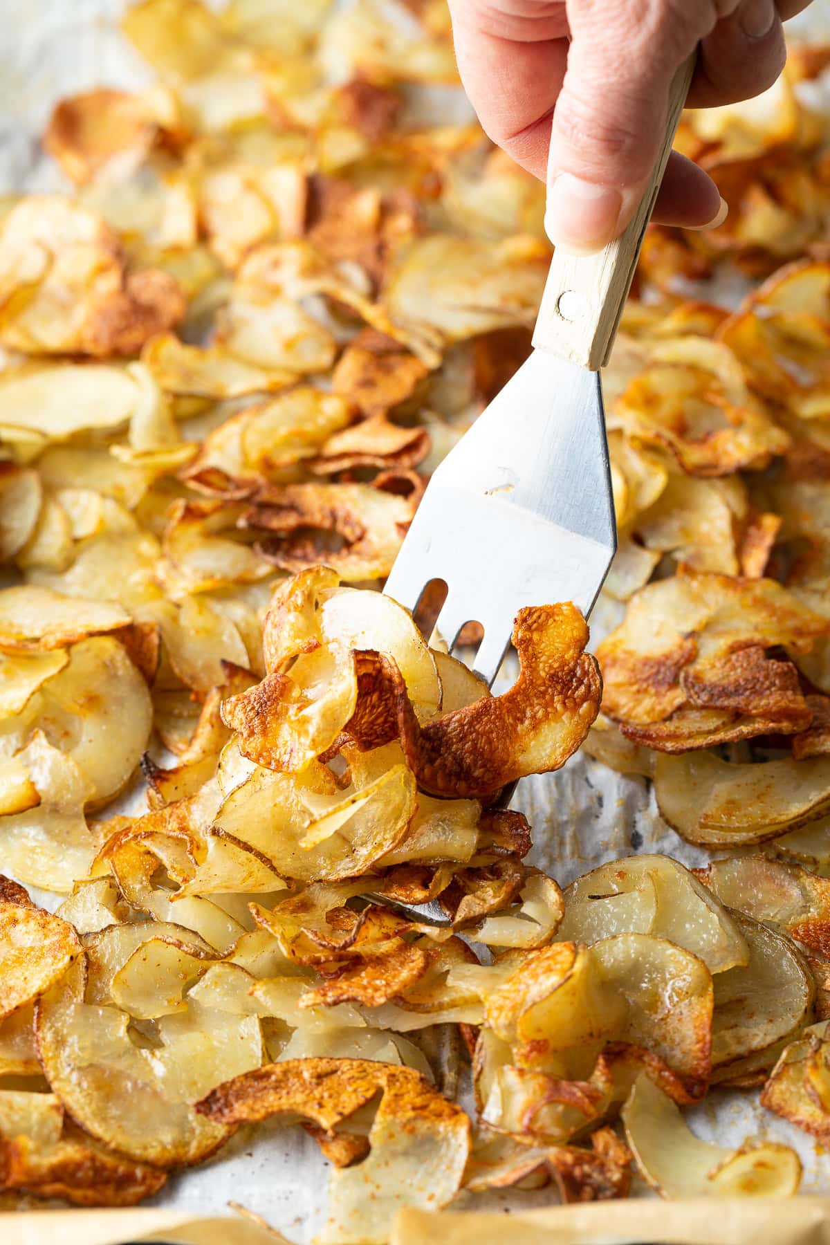 Crispy Ribbon Fries in the Oven - A Spicy Perspective