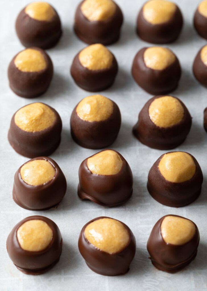 No-Bake Peanut Butter Balls (the BEST Buckeyes!) - A Spicy Perspective