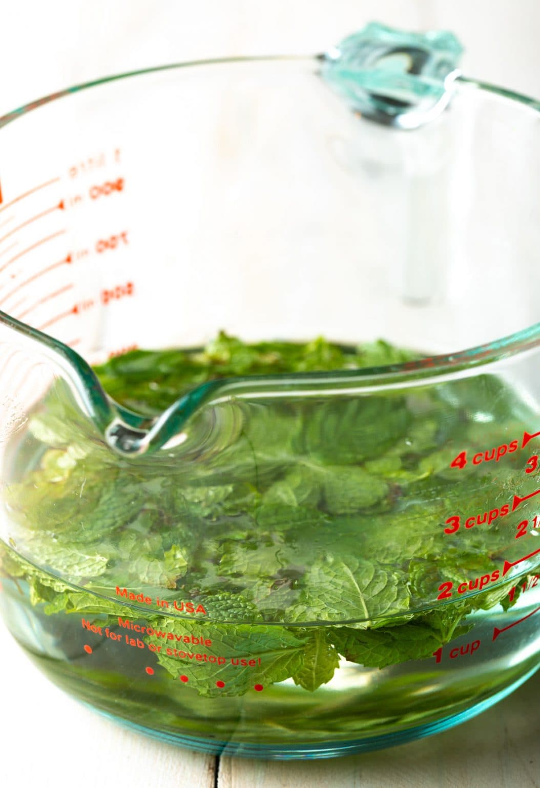 Mojito Pitcher Recipe - A Spicy Perspective