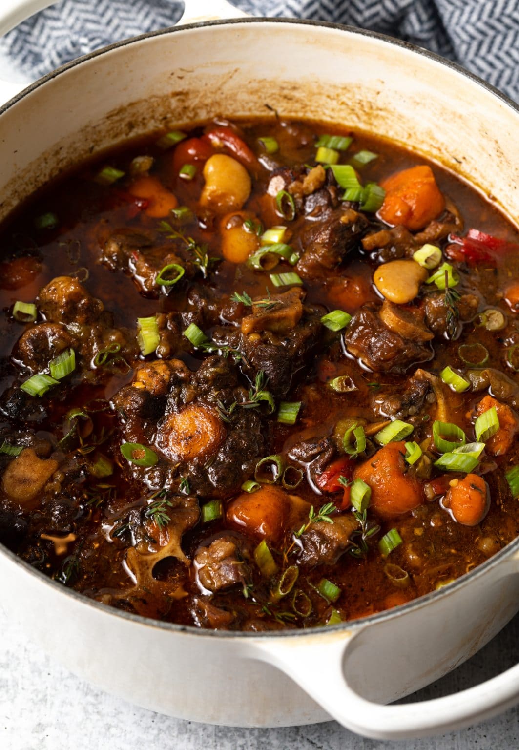 Jamaican Oxtail Stew Recipe - A Spicy Perspective
