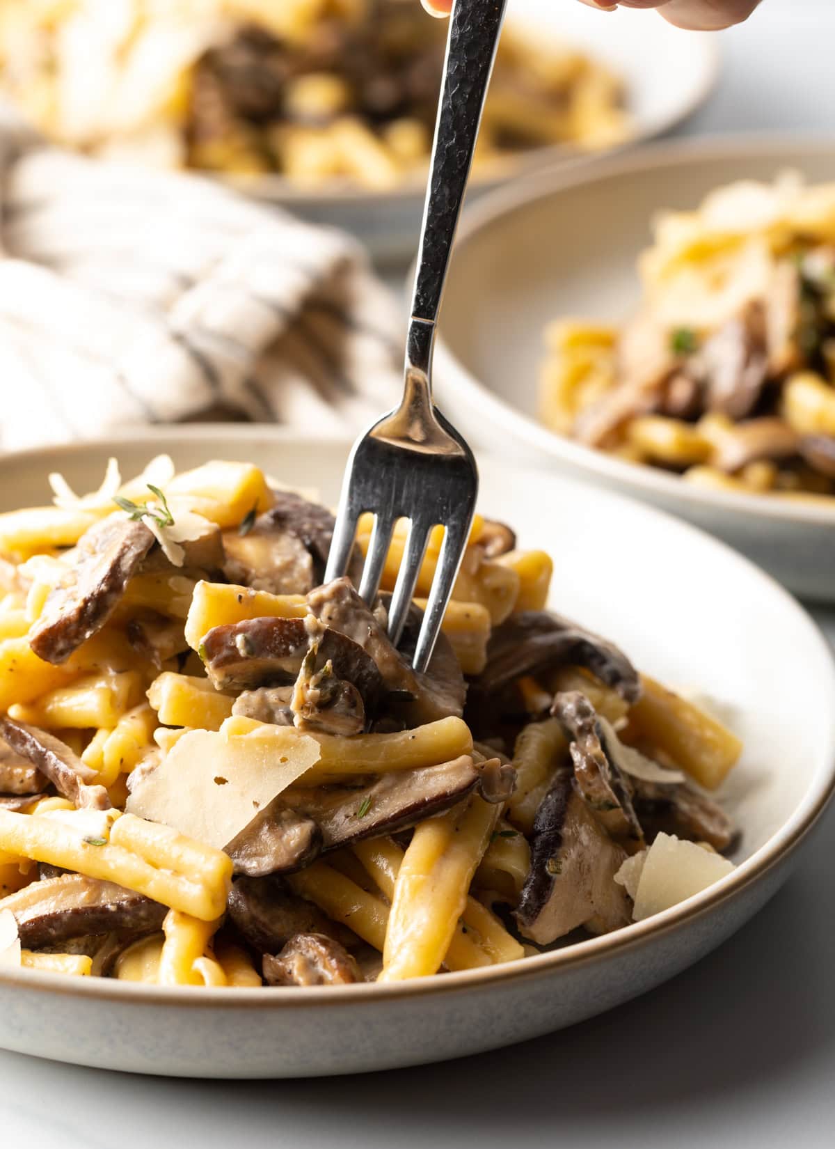 Gemelli Pasta - A Spicy Perspective