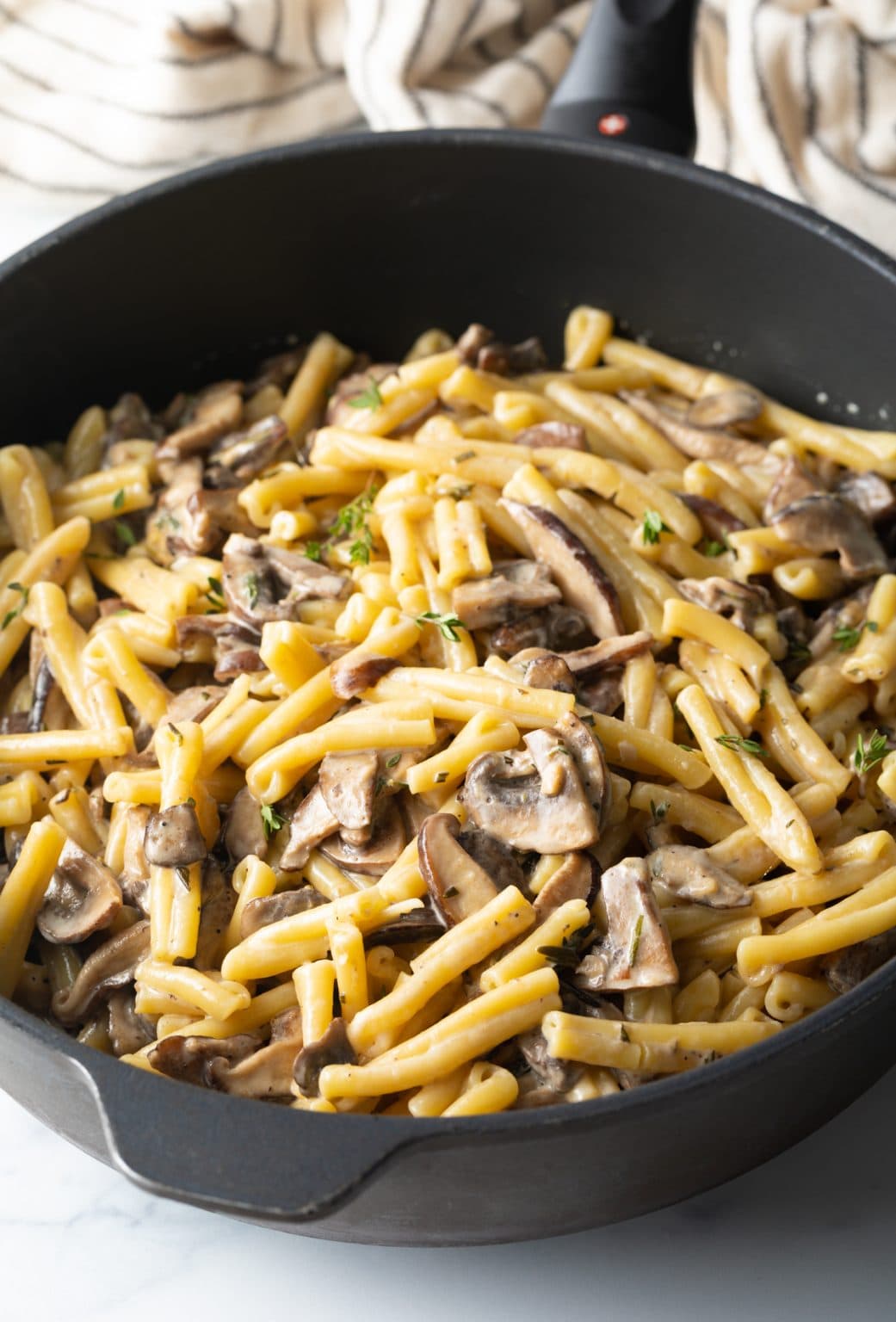 Gemelli Pasta - A Spicy Perspective