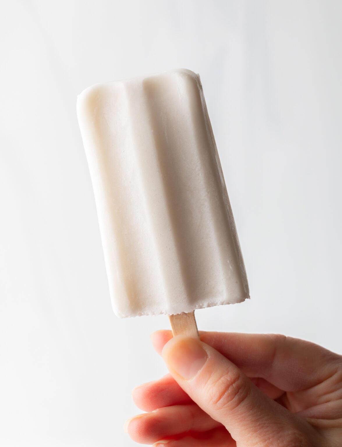 Coconut Popsicles (Dairy Free) - A Spicy Perspective