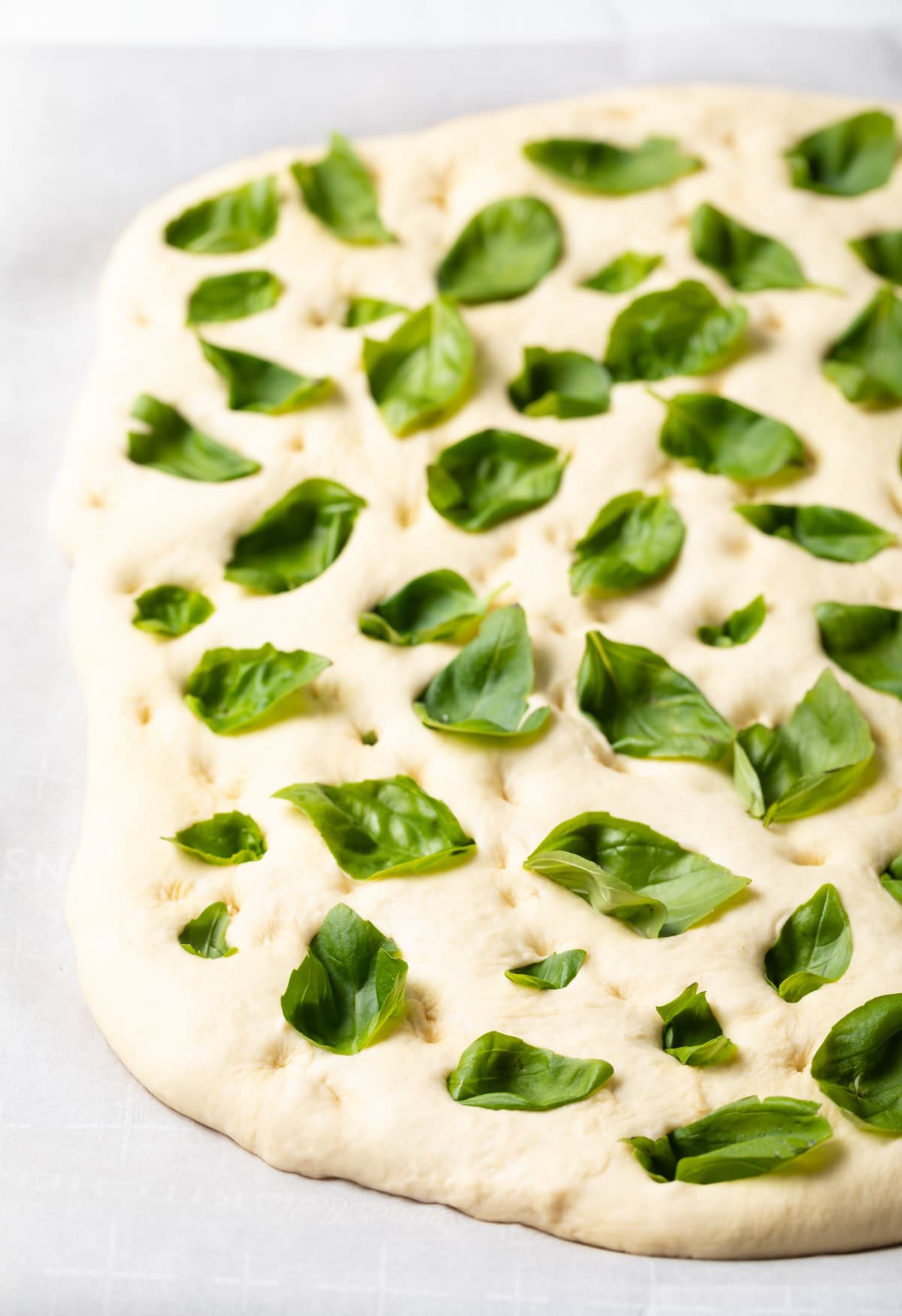 Tomato Basil Focaccia Bread - A Spicy Perspective