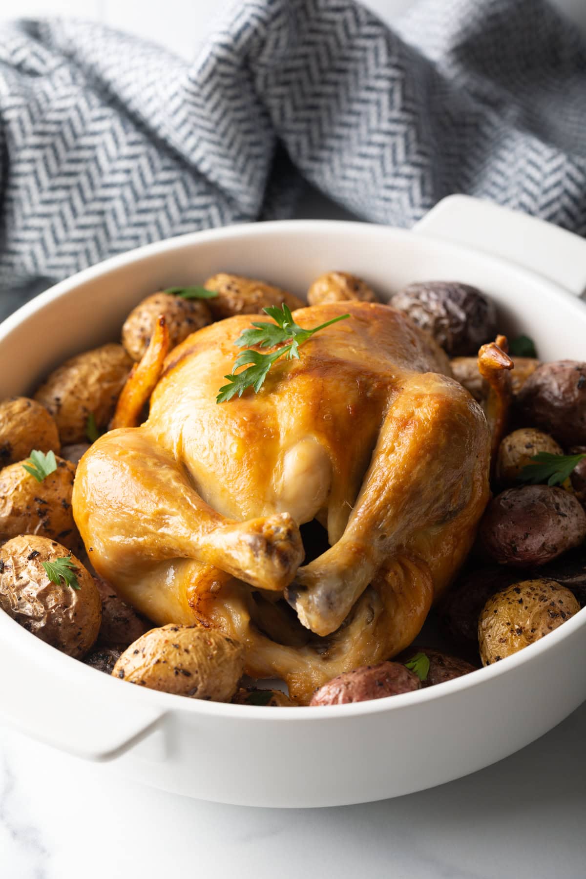 Temperature for Chicken (Cooked Chicken 101)