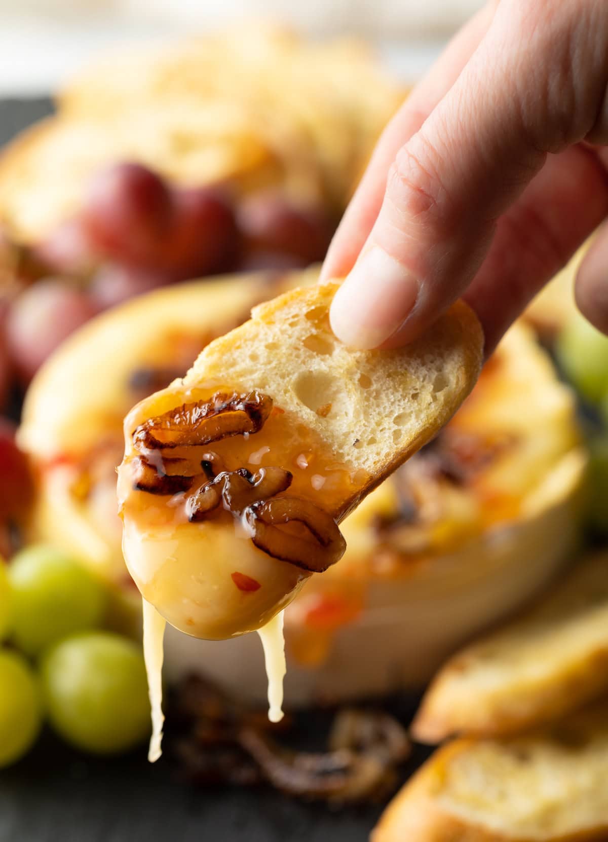 Baked Camembert Cheese - A Spicy Perspective