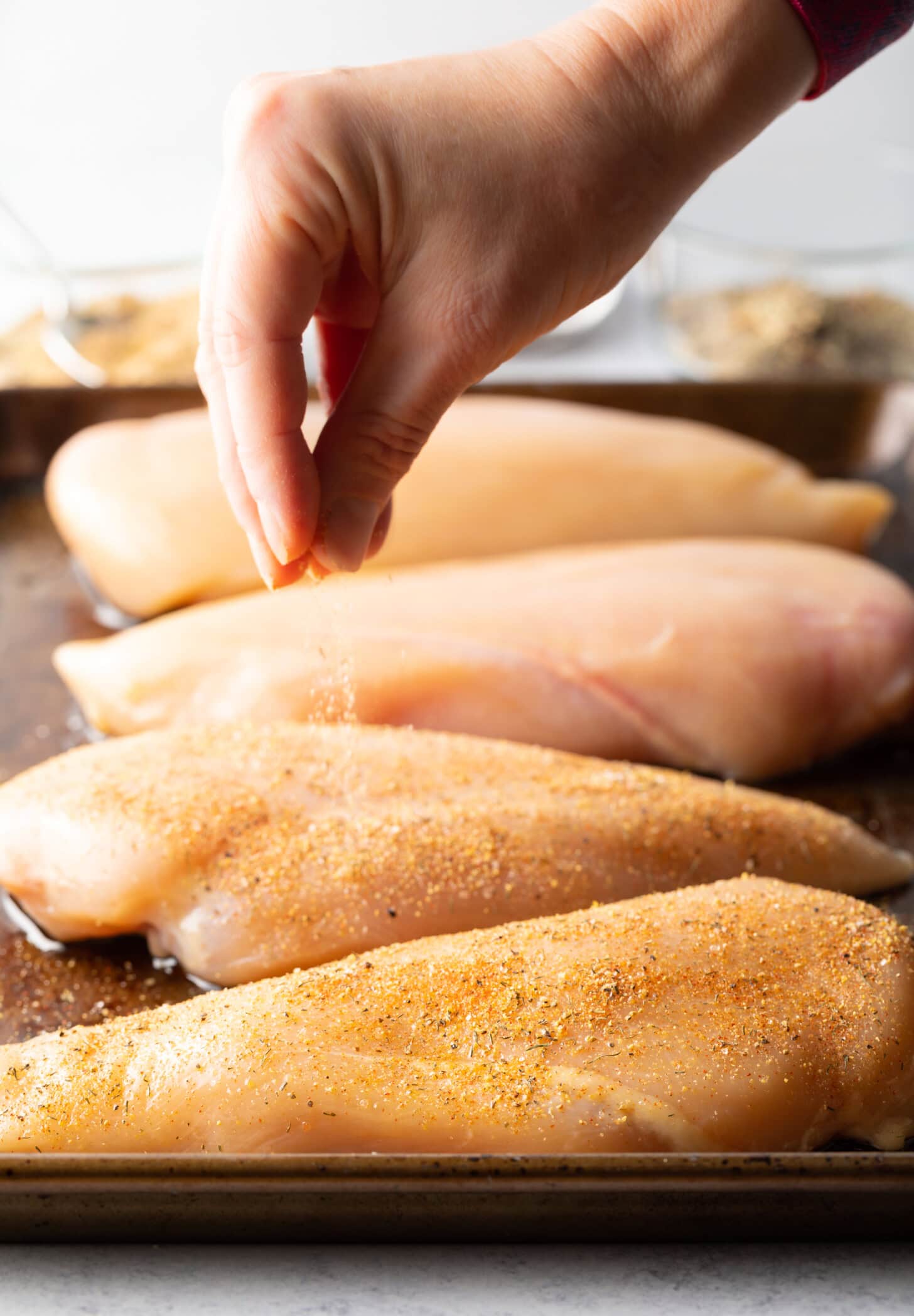 Chicken Seasoning Recipe - A Spicy Perspective