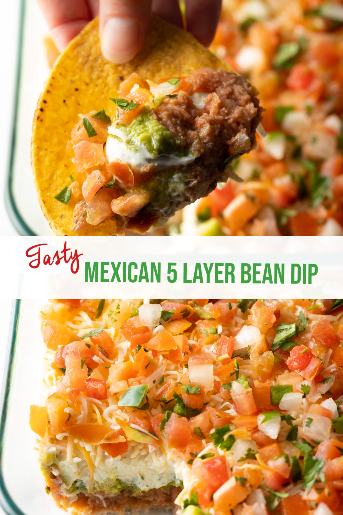 5 Layer Bean Dip (So Easy) - A Spicy Perspective