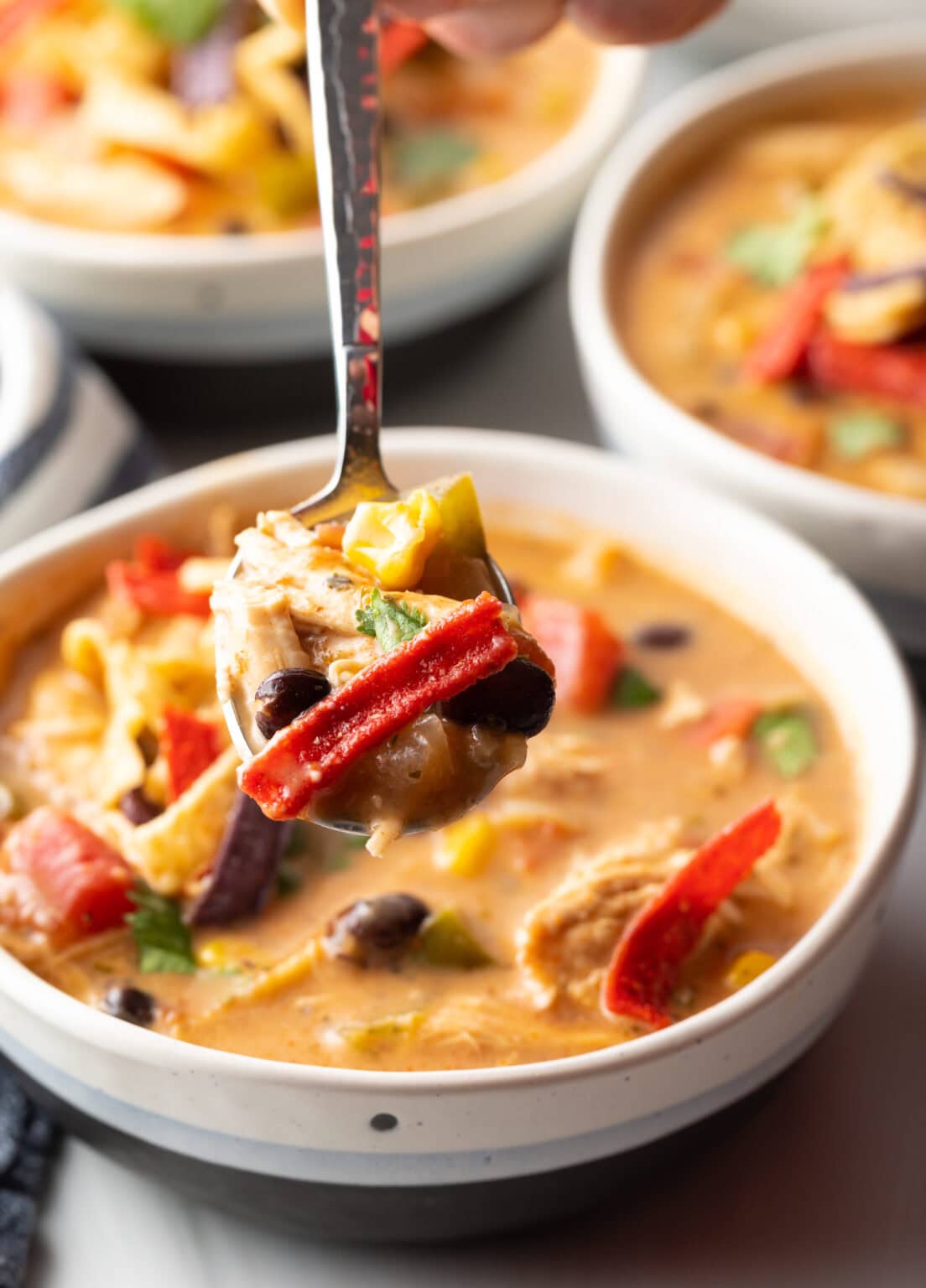 Chicken Taco Soup Recipe - A Spicy Perspective