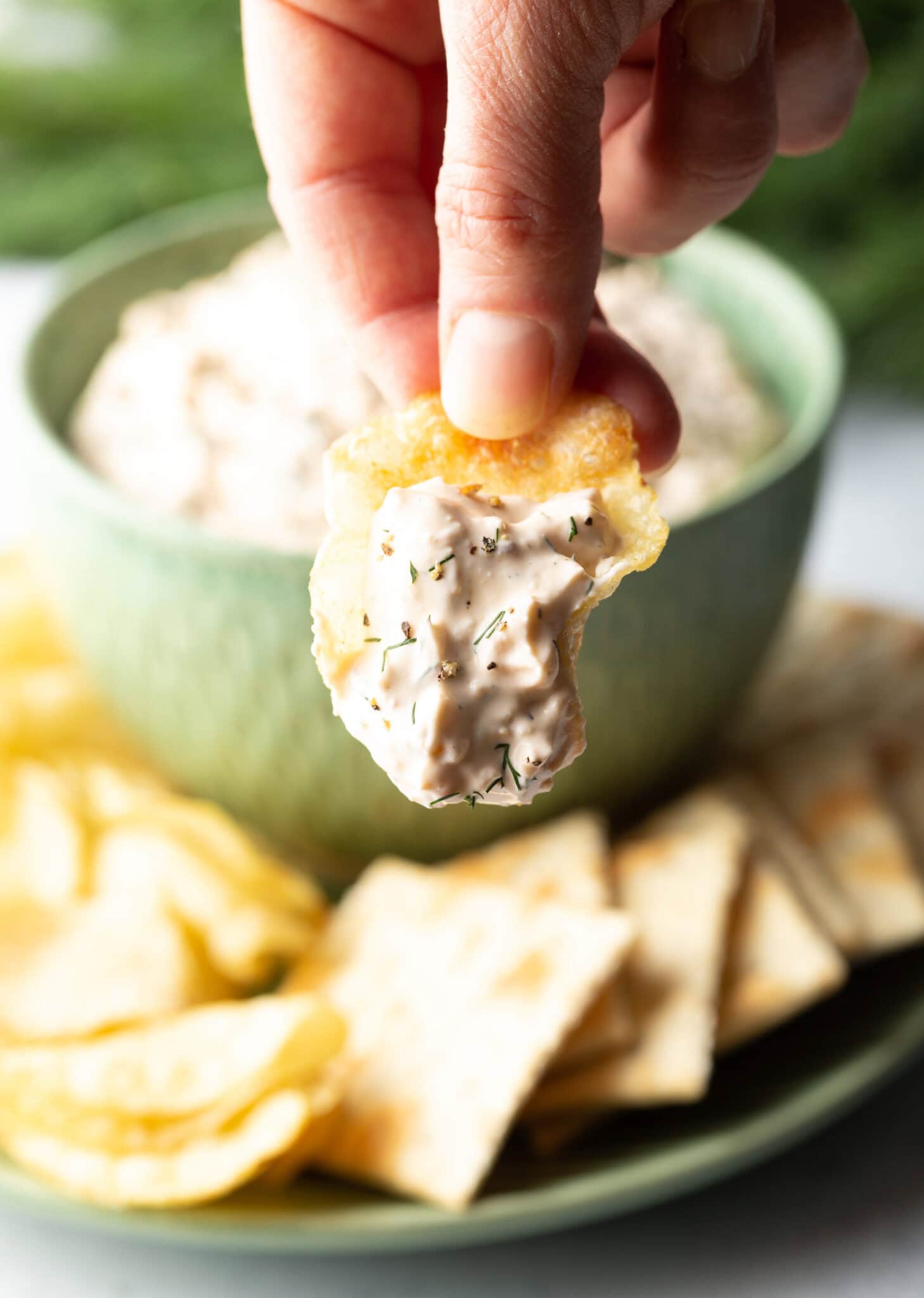 Clam Dip Recipe (Best Ever!) - A Spicy Perspective