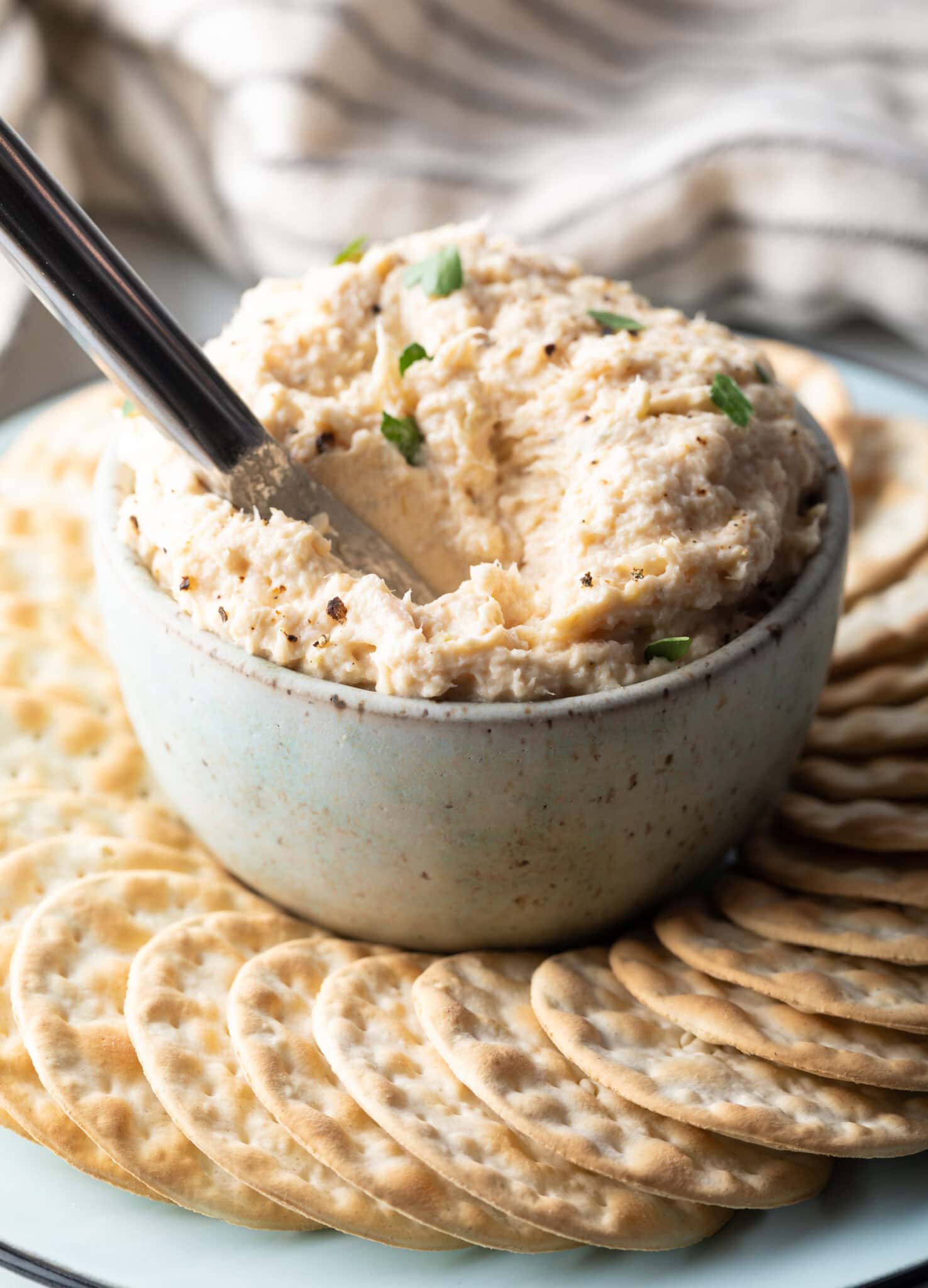 Smoked Fish Dip Recipe - A Spicy Perspective