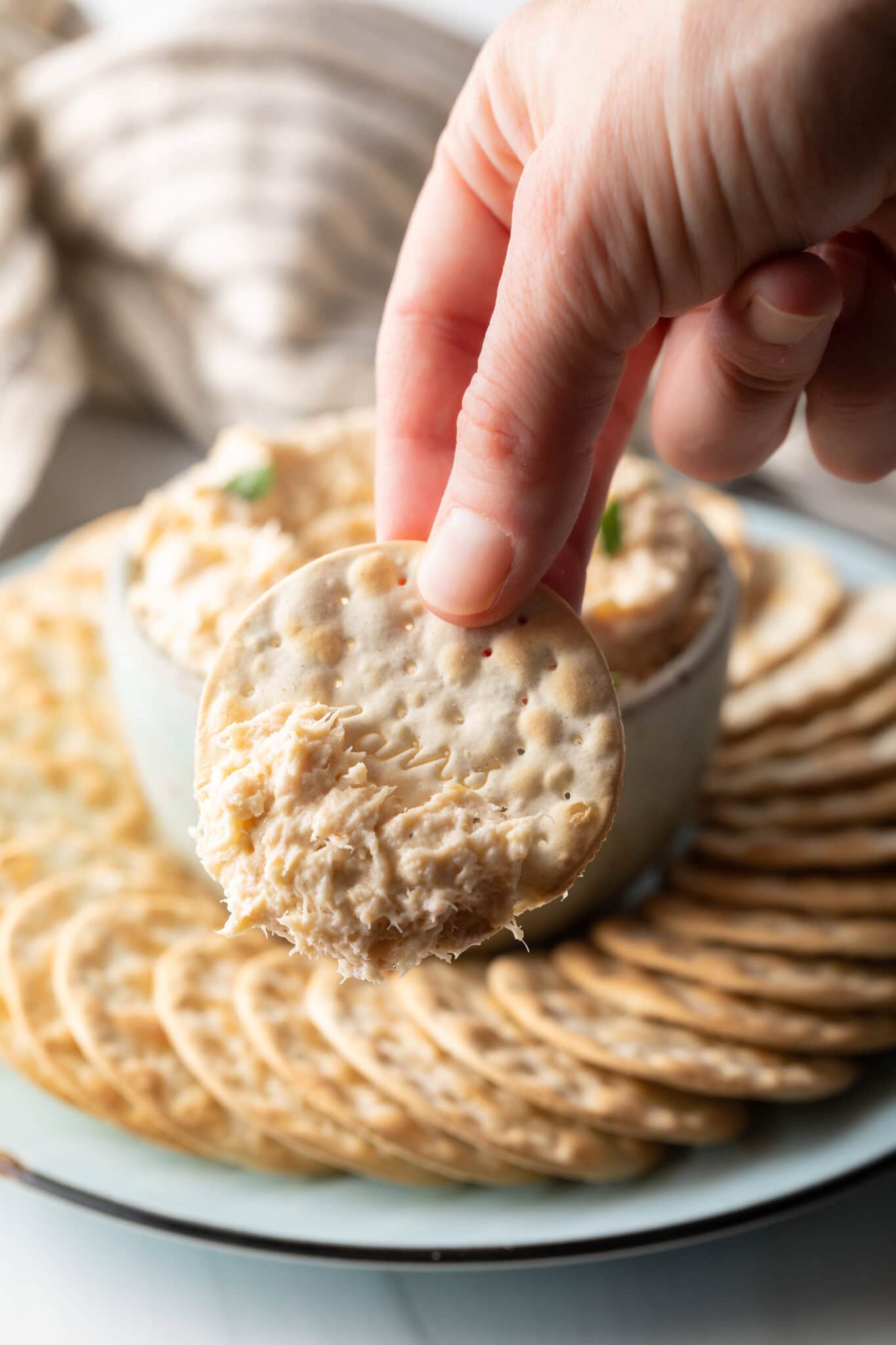 Smoked Fish Dip Recipe - A Spicy Perspective