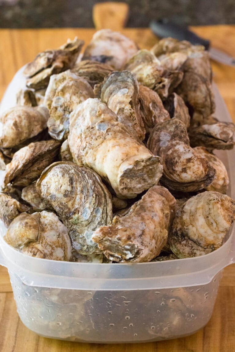 How To Shuck Oysters (VIDEO) - A Spicy Perspective