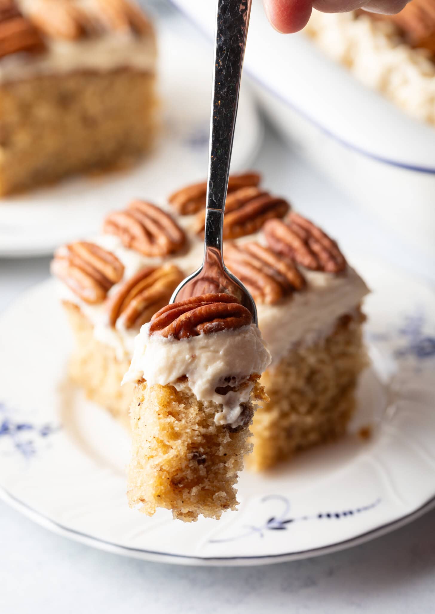 Butter Pecan Cake - A Spicy Perspective