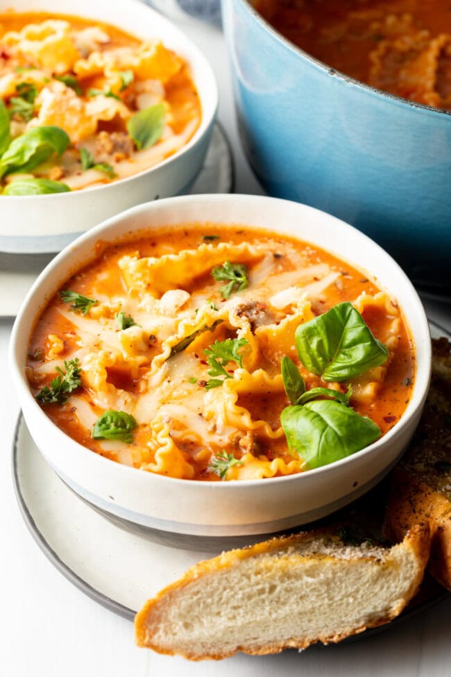 Easy Lasagna Soup Recipe (Video) - A Spicy Perspective