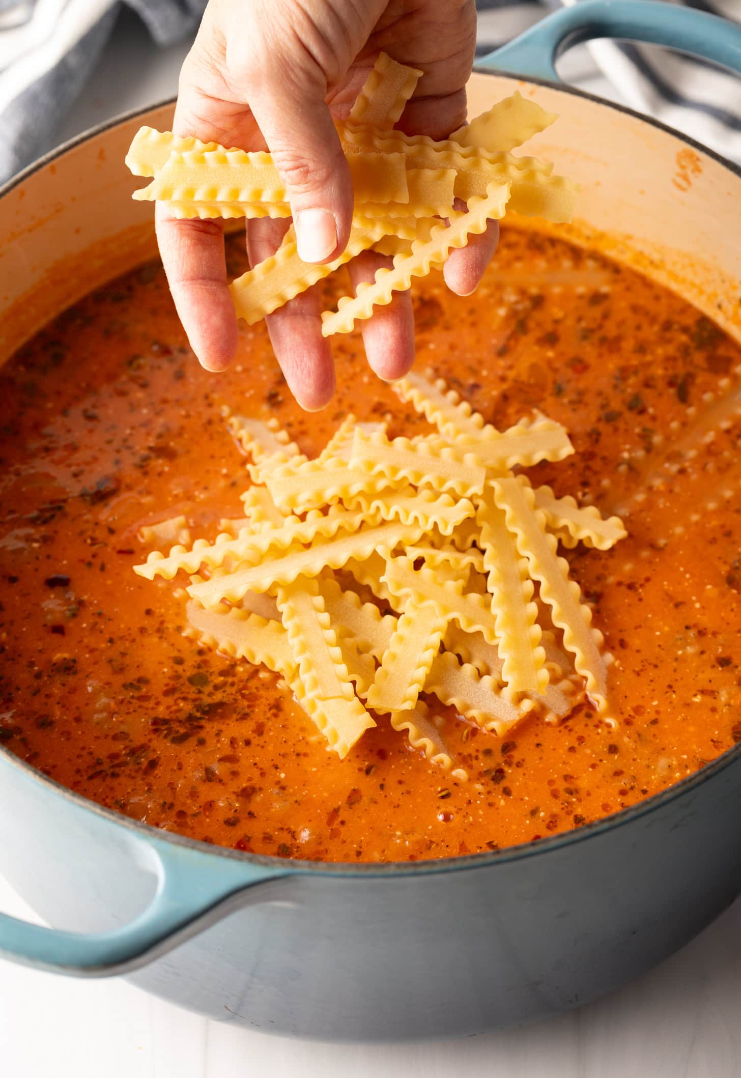 Easy Lasagna Soup Recipe (Video) - A Spicy Perspective