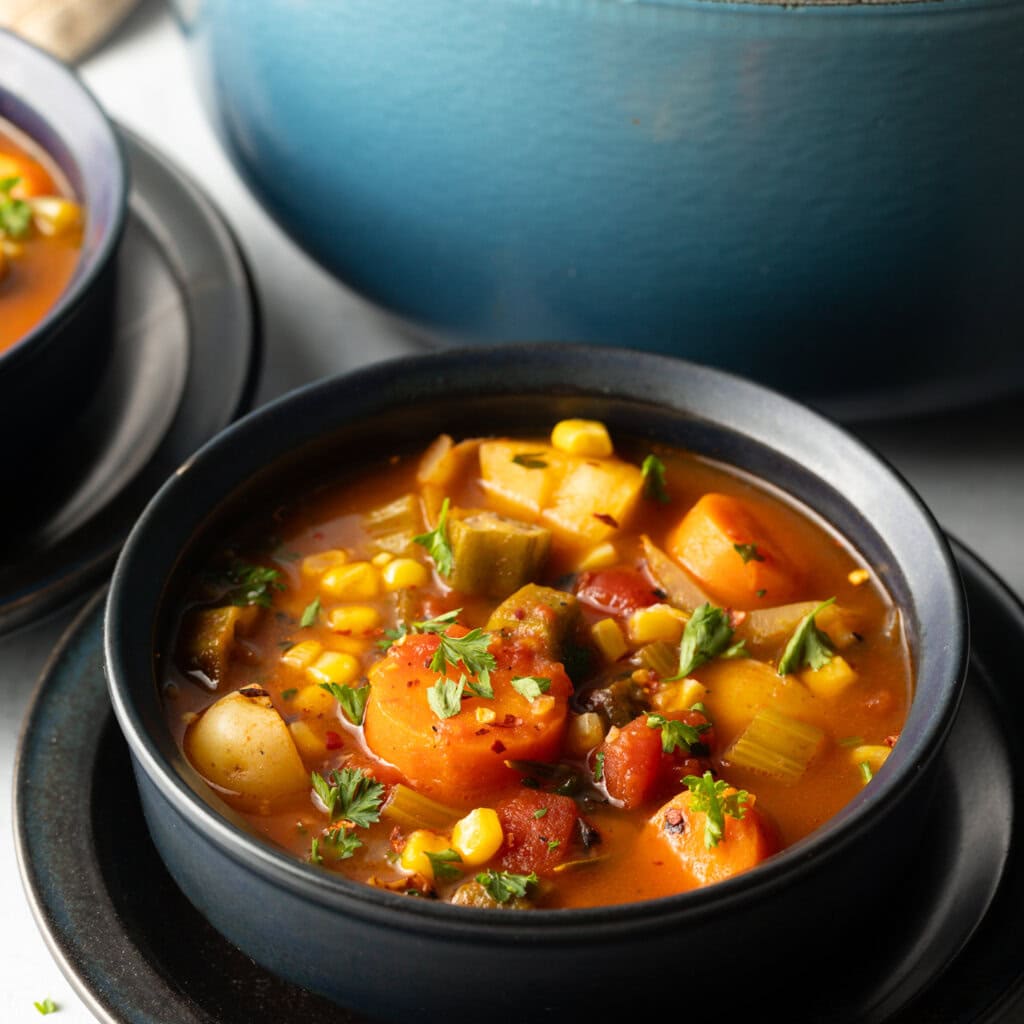 Homemade Vegetable Soup Recipe (Veggie Soup) - A Spicy Perspective