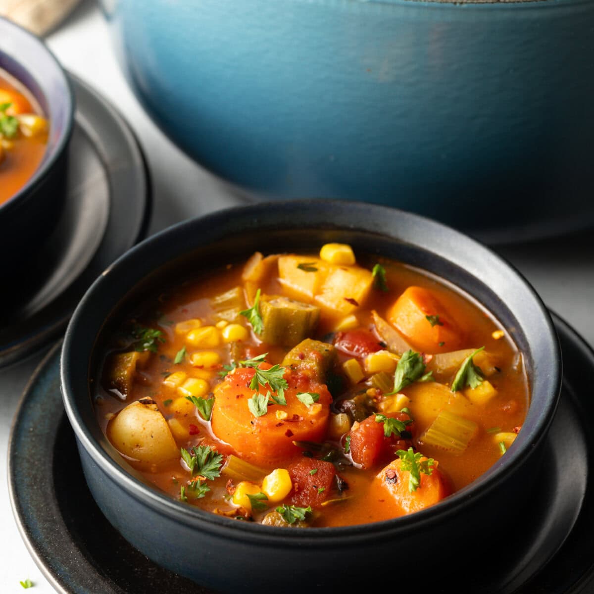 Homemade Vegetable Soup Recipe (Veggie Soup) - A Spicy Perspective