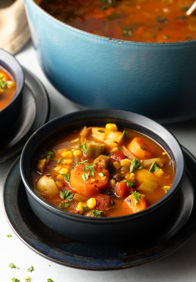 Homemade Vegetable Soup Recipe (Veggie Soup) - A Spicy Perspective