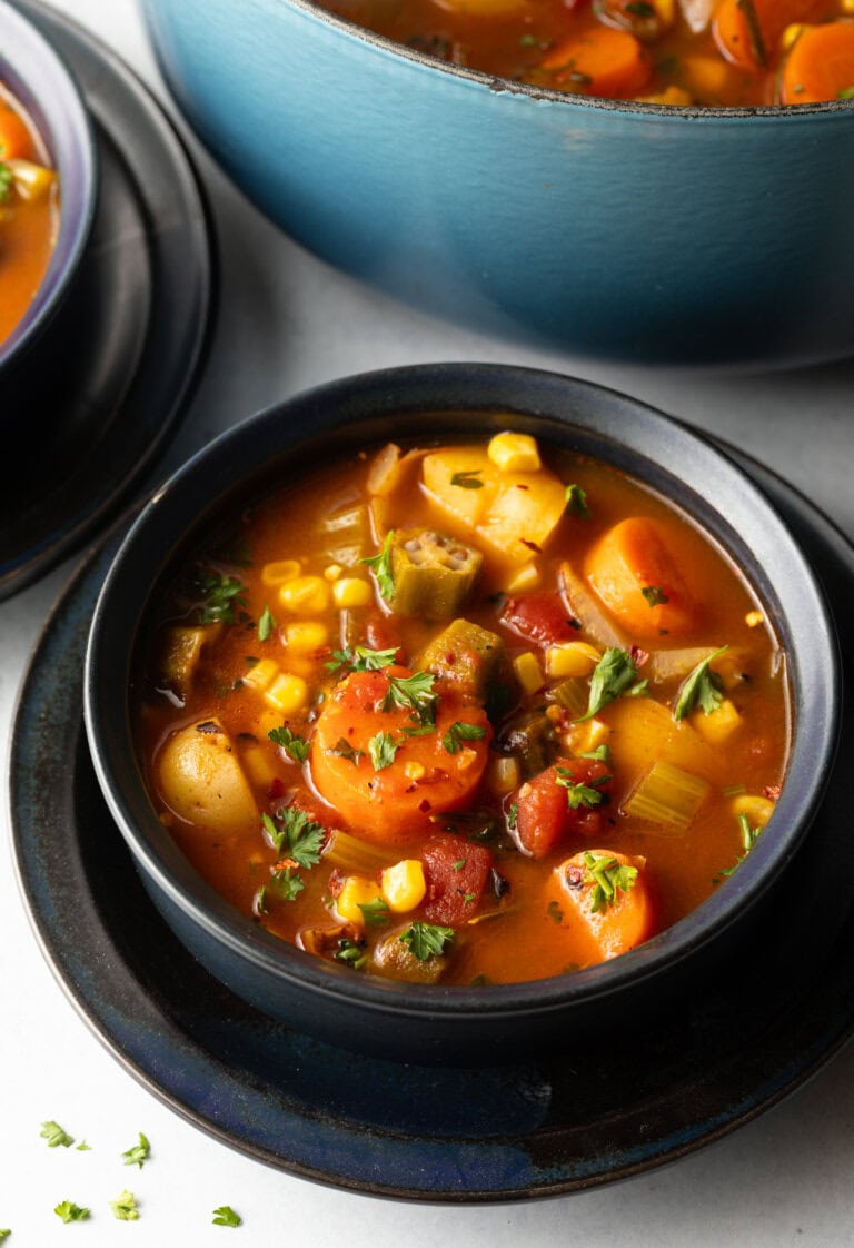 Homemade Vegetable Soup Recipe (Veggie Soup) - A Spicy Perspective