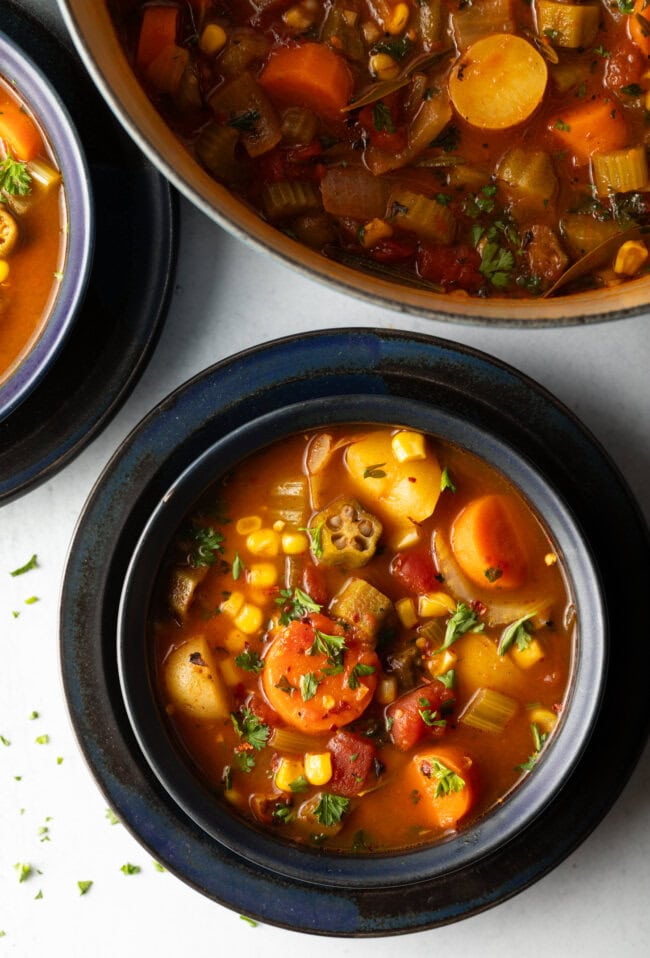 Homemade Vegetable Soup Recipe (Veggie Soup) - A Spicy Perspective