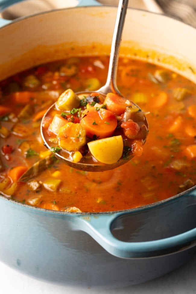 Homemade Vegetable Soup Recipe (Veggie Soup) - A Spicy Perspective