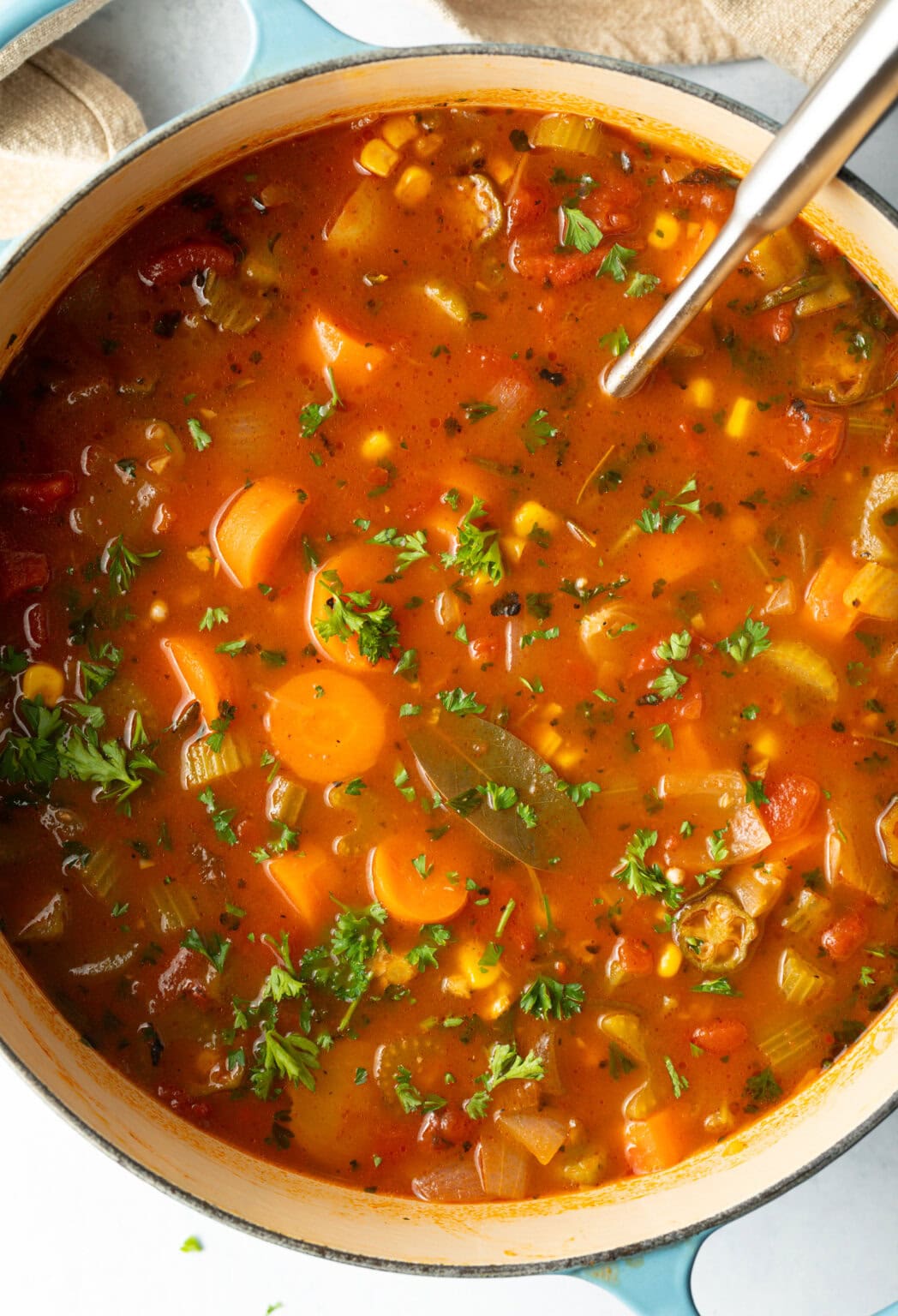 Homemade Vegetable Soup Recipe (Veggie Soup) - A Spicy Perspective