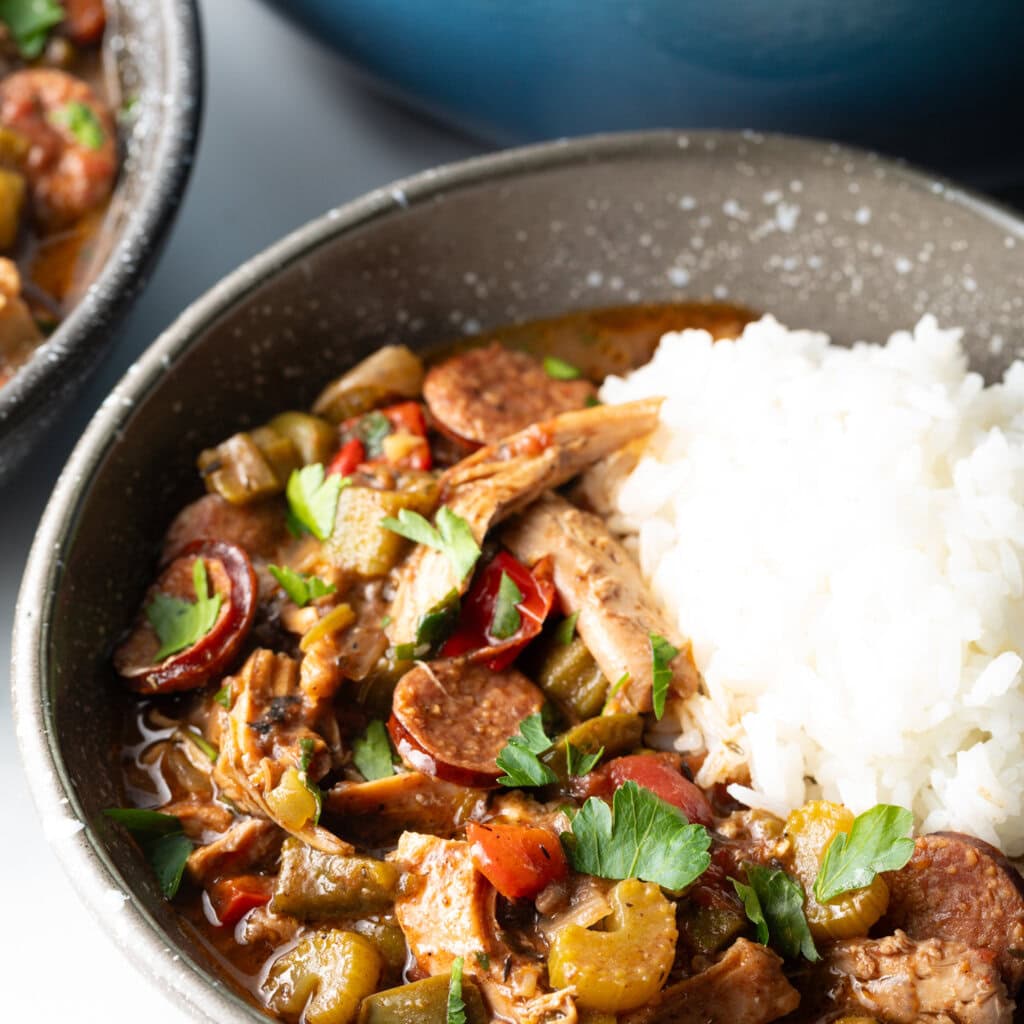 Chicken and Sausage Gumbo - A Spicy Perspective