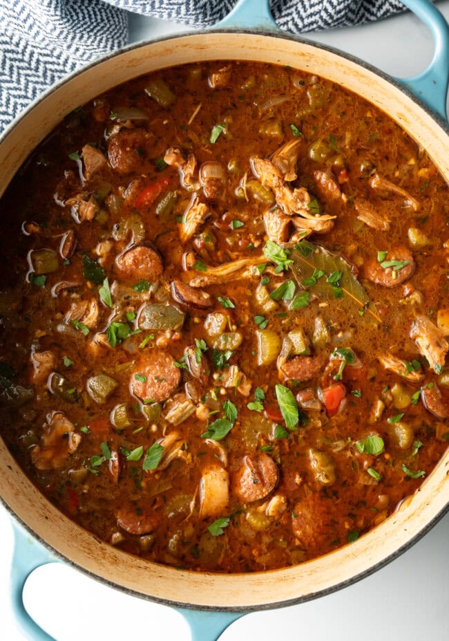Chicken and Sausage Gumbo - A Spicy Perspective