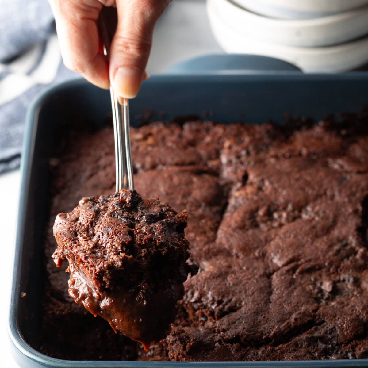 Chocolate Pudding Cake - A Spicy Perspective
