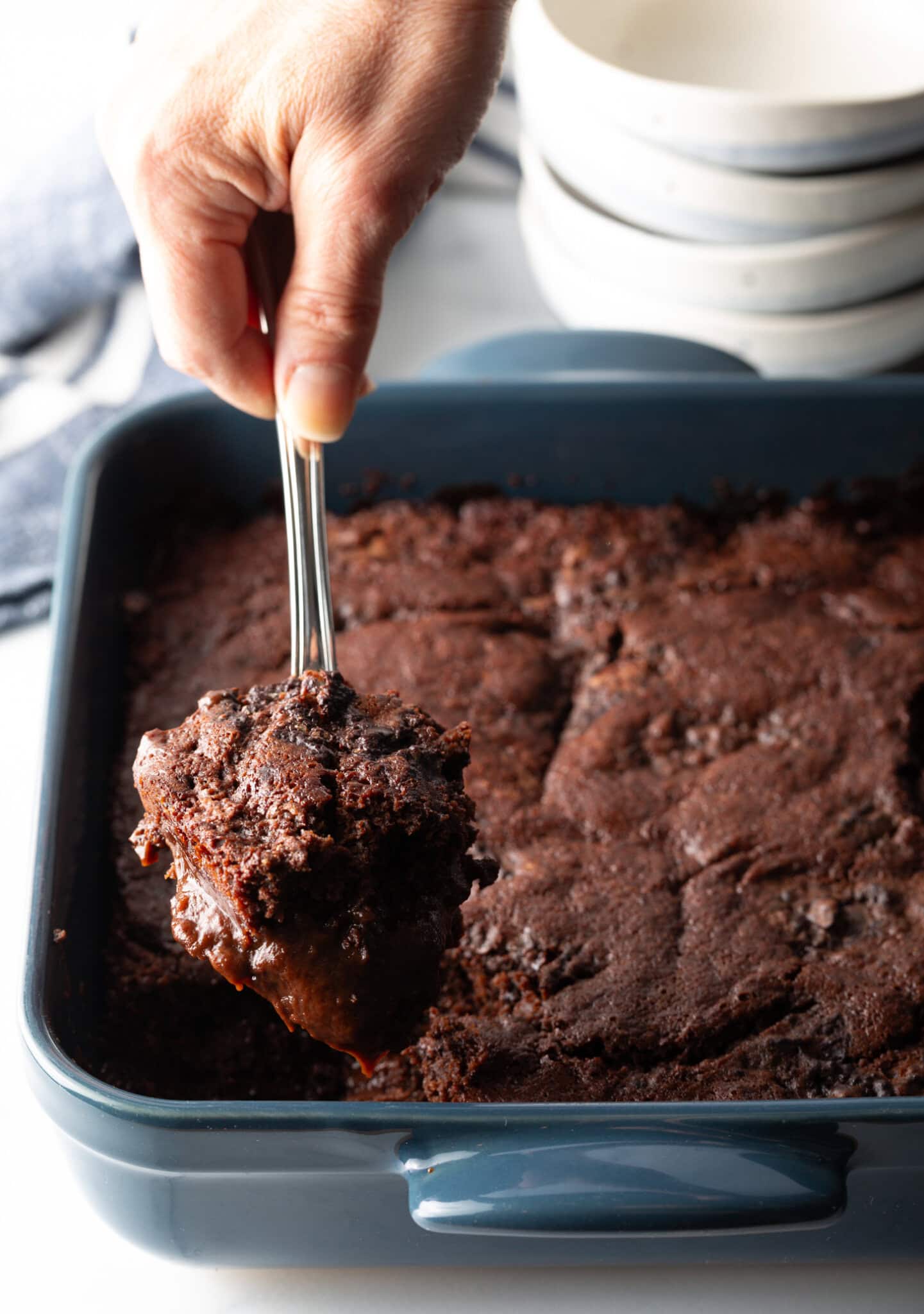 Chocolate Pudding Cake - A Spicy Perspective