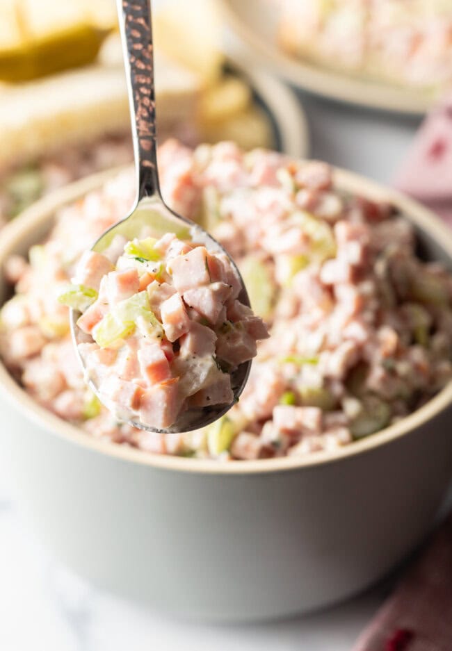 Best Ham Salad (Recipe + VIDEO) - A Spicy Perspective